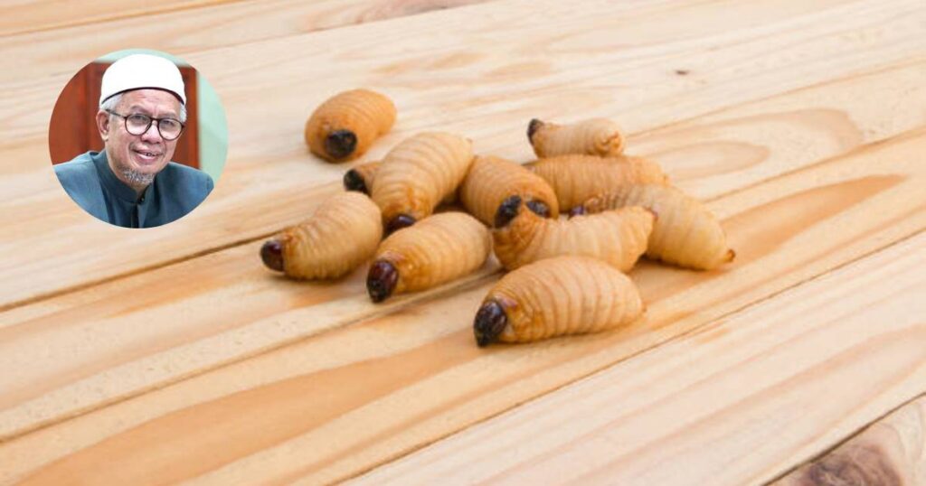 Orang Islam Haram Makan Ulat Sagu, Ini Penjelasan Dr Zulkifli Al-Bakri