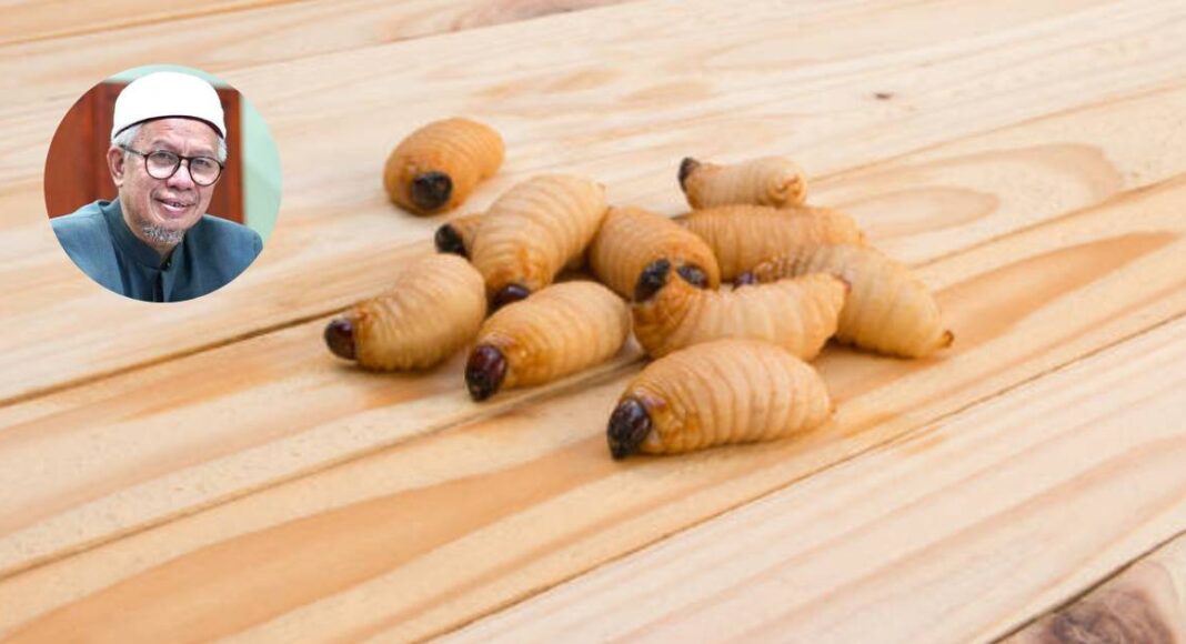 Orang Islam Haram Makan Ulat Sagu, Ini Penjelasan Dr Zulkifli Al-Bakri